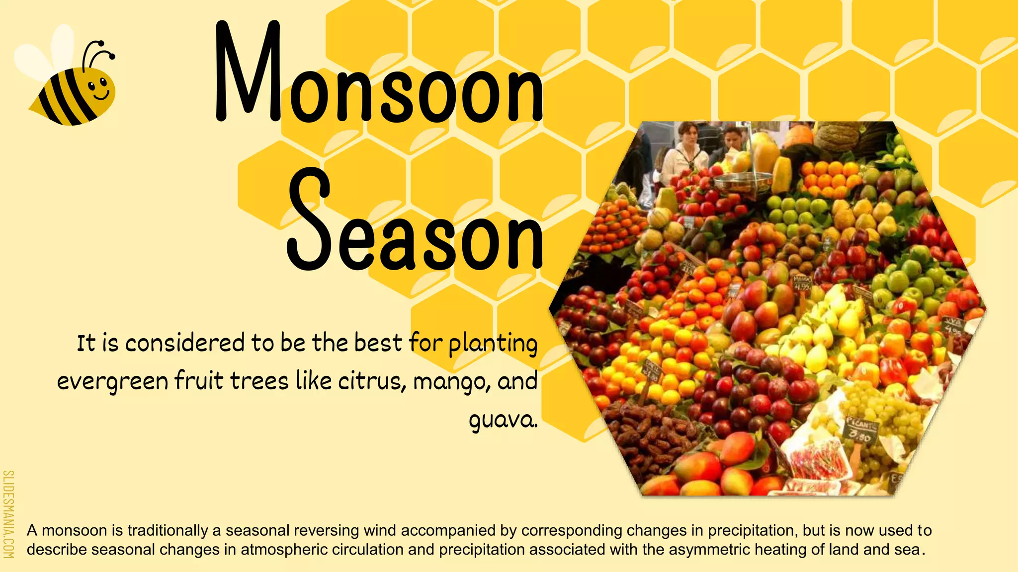 Module 3_ ORCHARD FARMS AND PLANT PROPAGATION .pptx