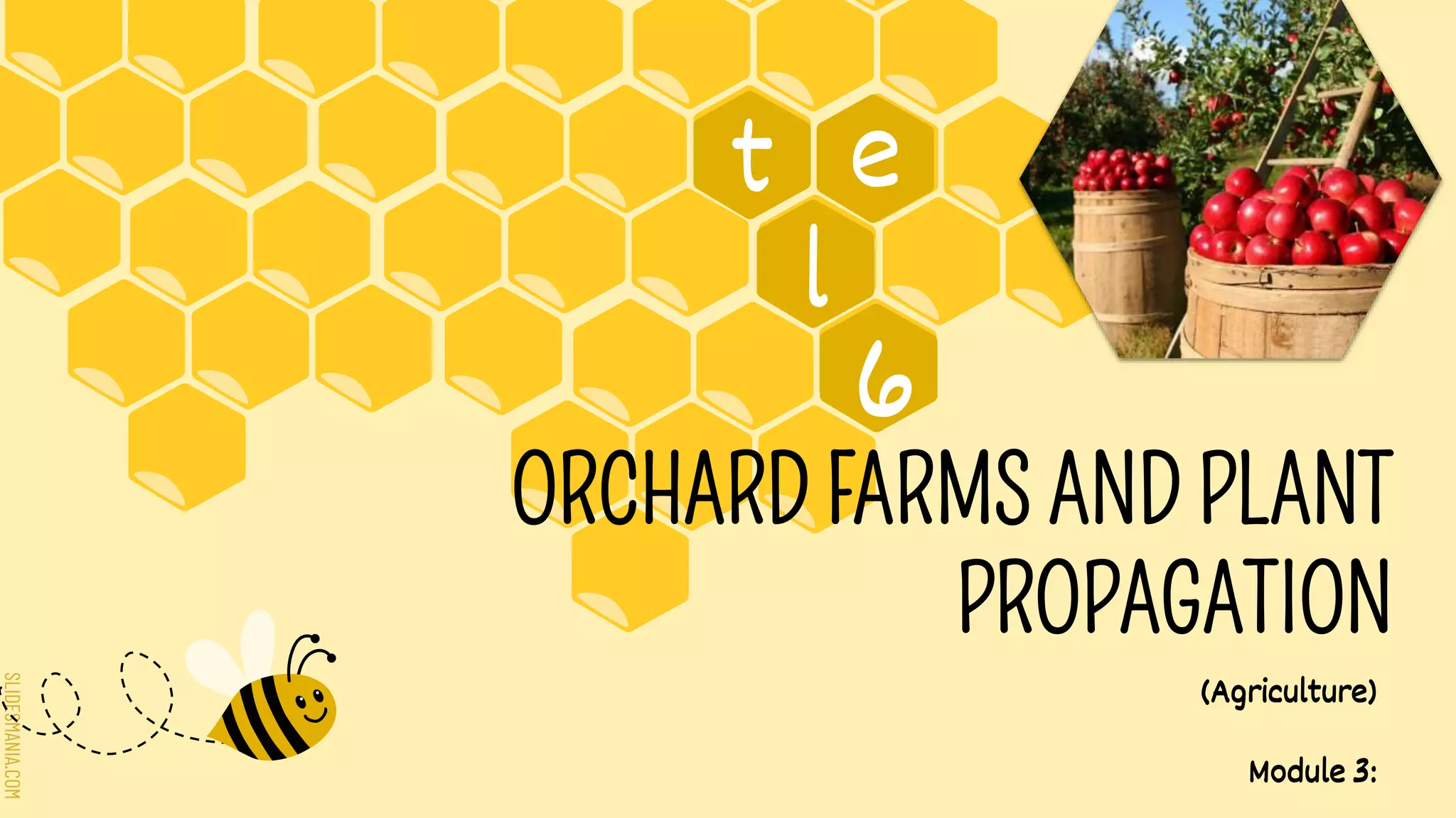 Module 3_ ORCHARD FARMS AND PLANT PROPAGATION .pptx