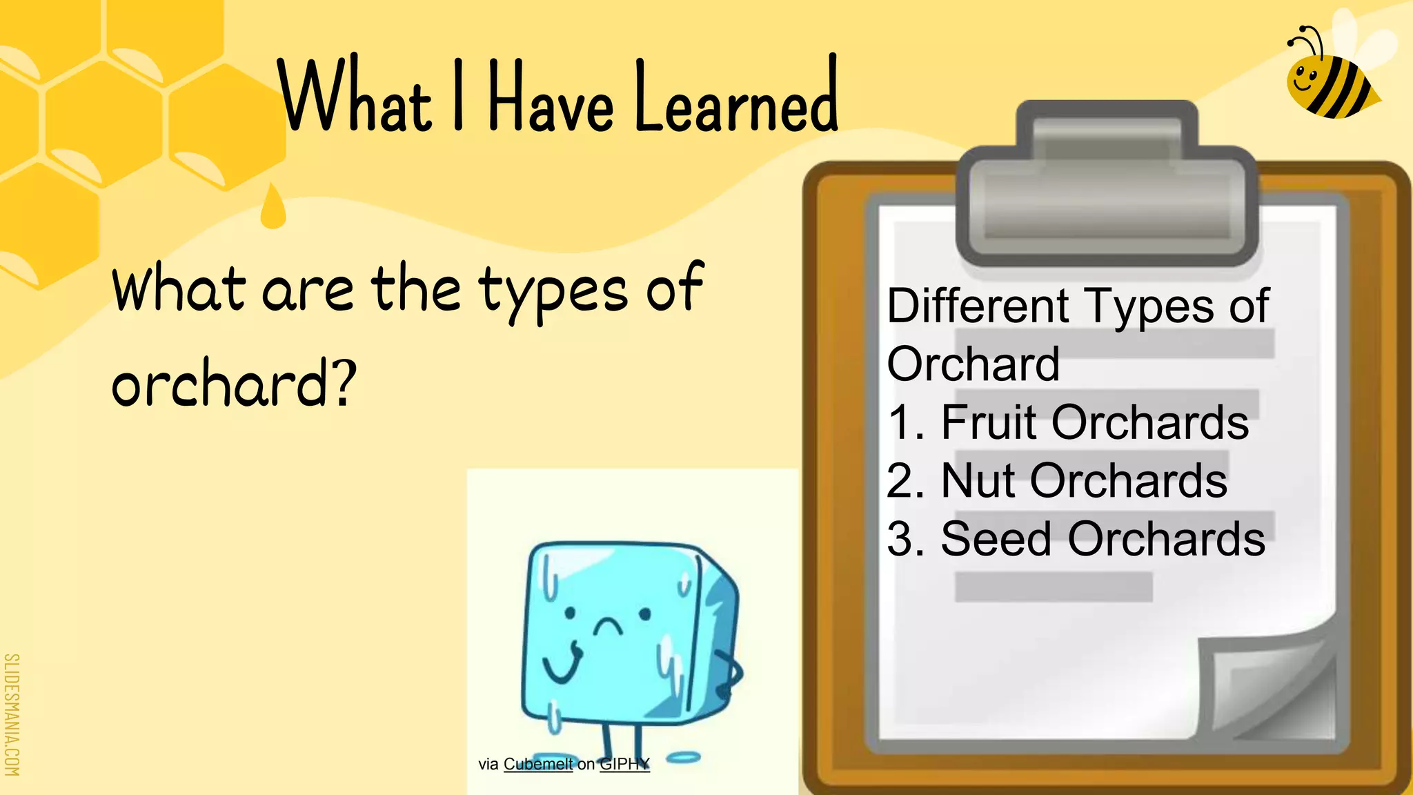 Module 3_ ORCHARD FARMS AND PLANT PROPAGATION .pptx