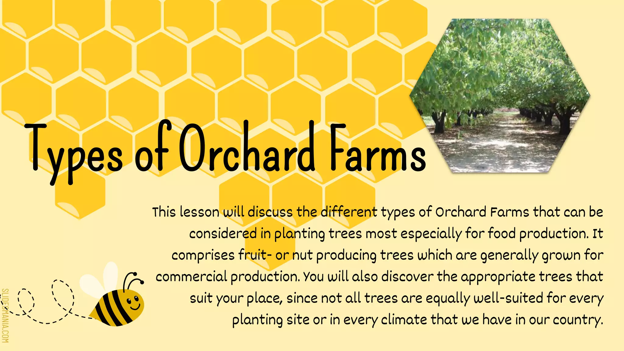 Module 3_ ORCHARD FARMS AND PLANT PROPAGATION .pptx
