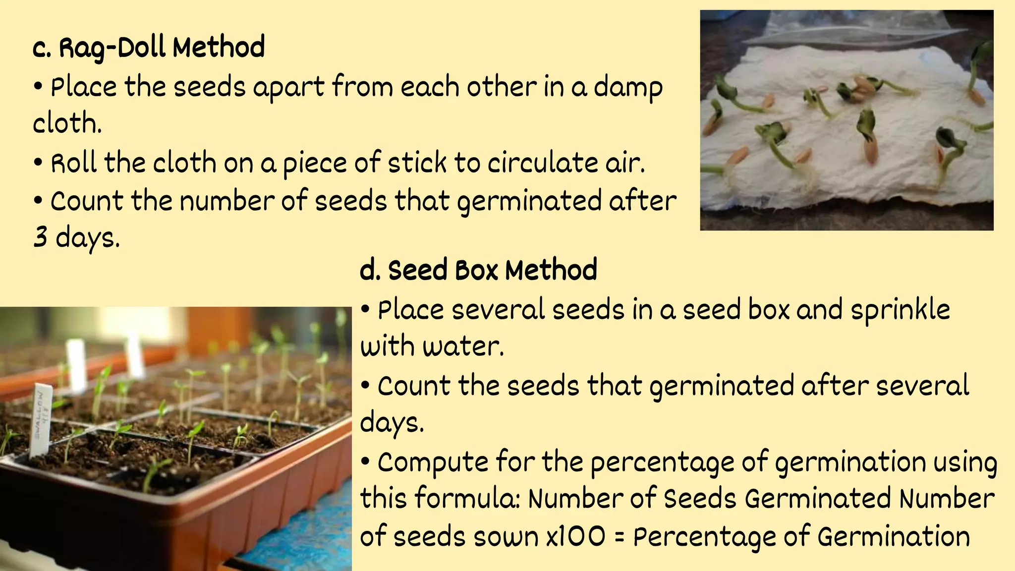Module 3_ ORCHARD FARMS AND PLANT PROPAGATION .pptx