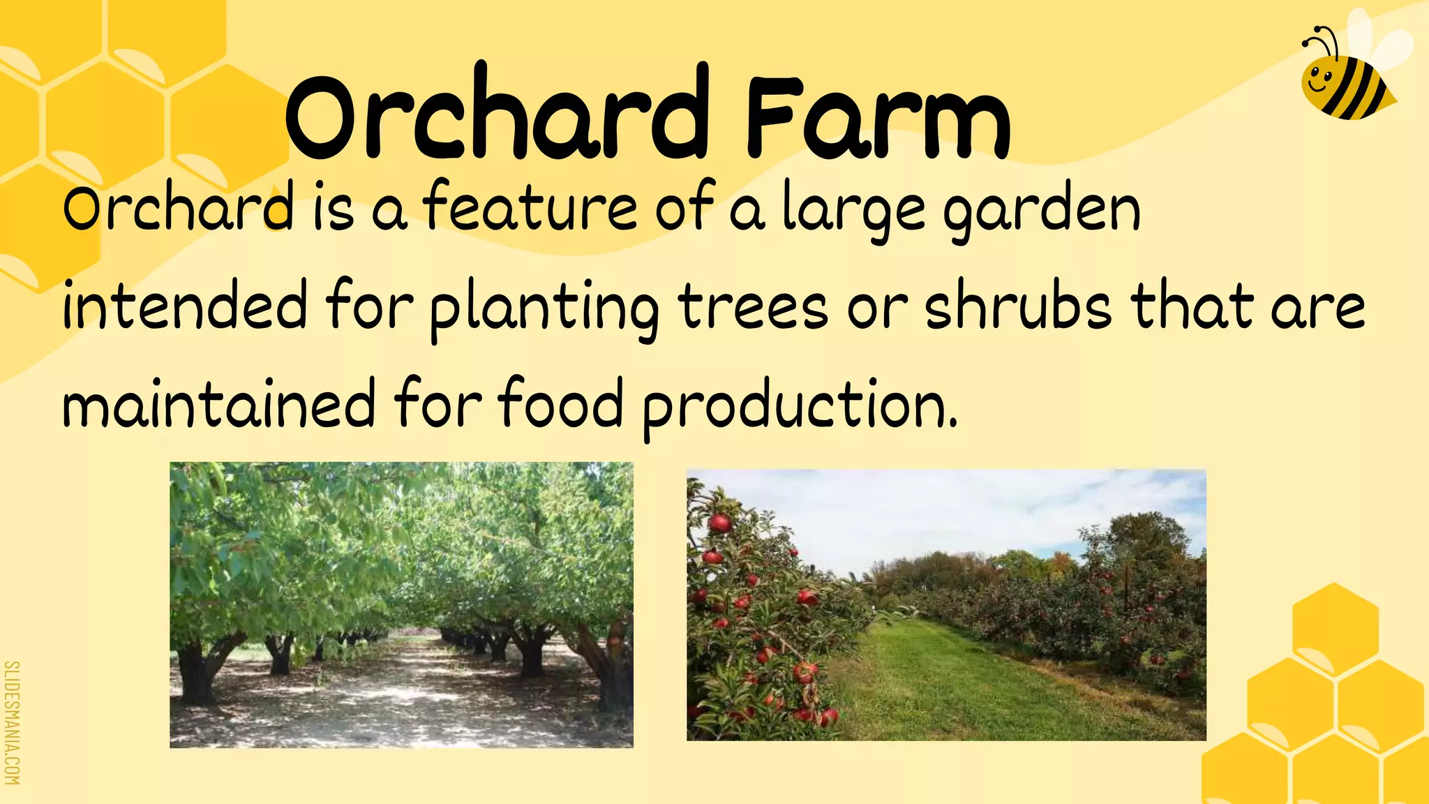 Module 3_ ORCHARD FARMS AND PLANT PROPAGATION .pptx