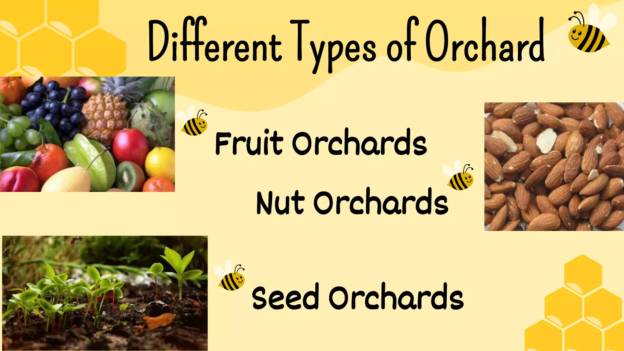 Module 3_ ORCHARD FARMS AND PLANT PROPAGATION .pptx