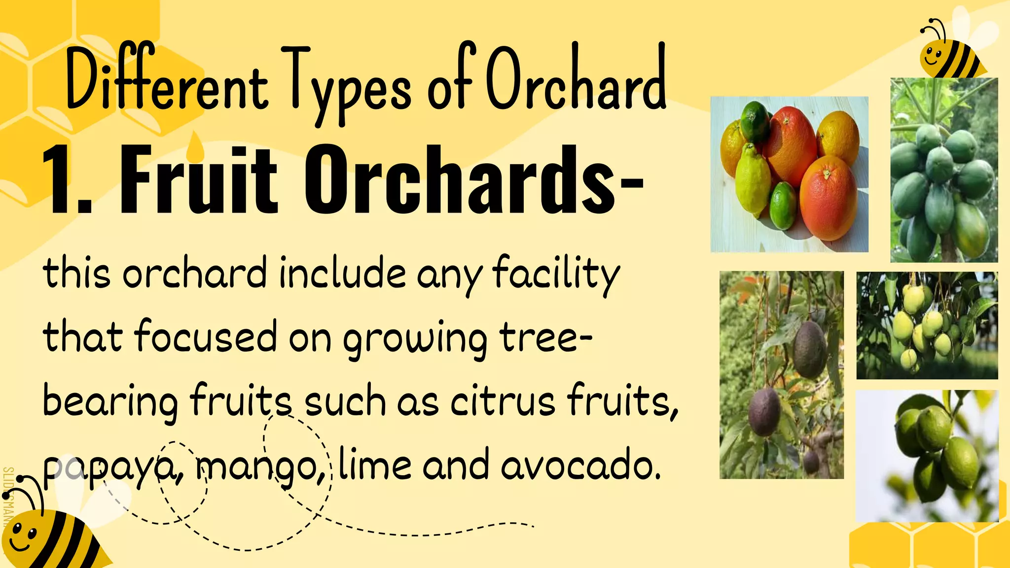 Module 3_ ORCHARD FARMS AND PLANT PROPAGATION .pptx