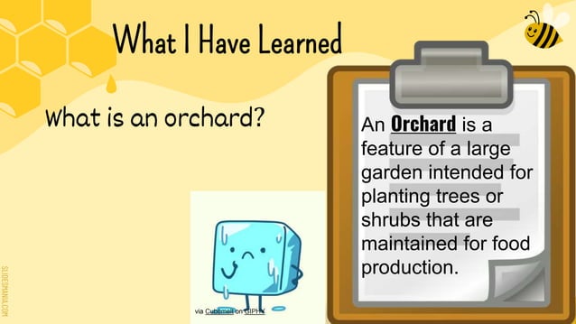 Module 3_ ORCHARD FARMS AND PLANT PROPAGATION .pptx