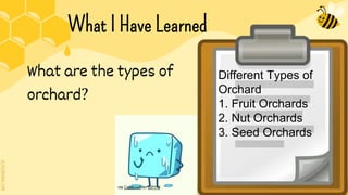 Module 3_ ORCHARD FARMS AND PLANT PROPAGATION .pptx