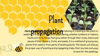 Module 3_ ORCHARD FARMS AND PLANT PROPAGATION .pptx