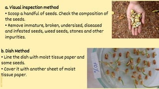 Module 3_ ORCHARD FARMS AND PLANT PROPAGATION .pptx
