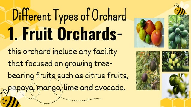 Module 3_ ORCHARD FARMS AND PLANT PROPAGATION .pptx