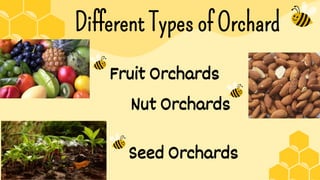 Module 3_ ORCHARD FARMS AND PLANT PROPAGATION .pptx