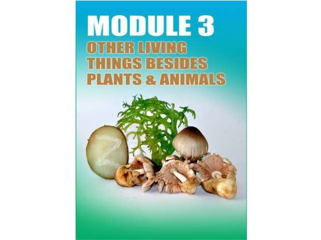 Other Living Things Aside from Plants & Animals.ppt