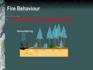 Module 3 - Fire Behavior | PPT