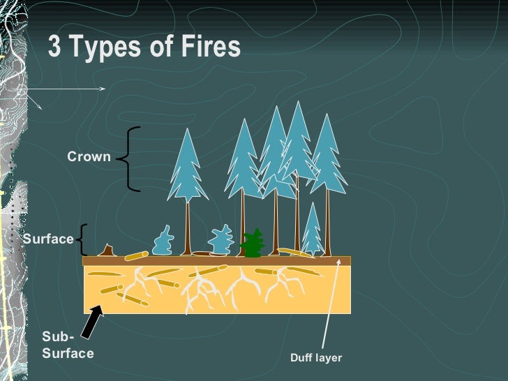 Module 3 - Fire Behavior