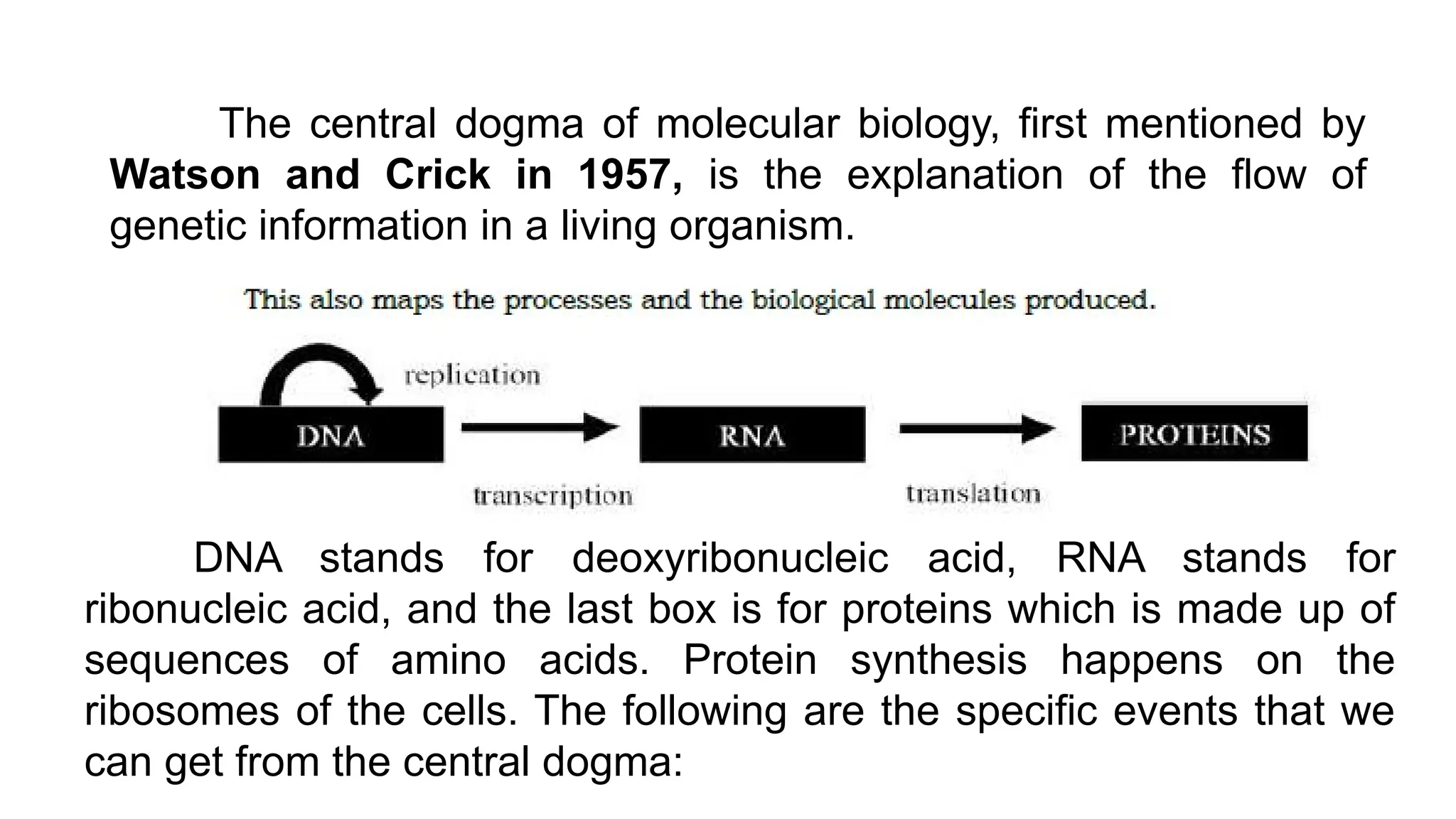 module 4 protein Synthesis and Mutation.pptx