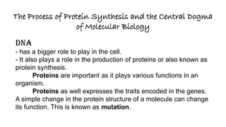 module 4 protein Synthesis and Mutation.pptx