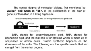 module 4 protein Synthesis and Mutation.pptx