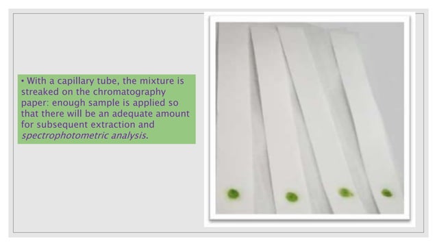 Module 4 isolation of chloroplasts and characterization of ...