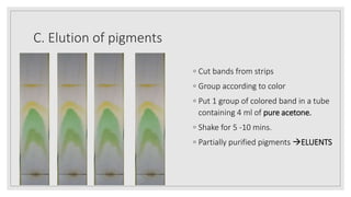 Module 4 isolation of chloroplasts and characterization of ...