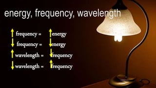 Module 4 light | PPTX