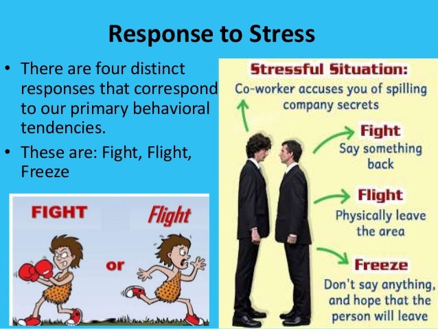 Effects of stress on behavior