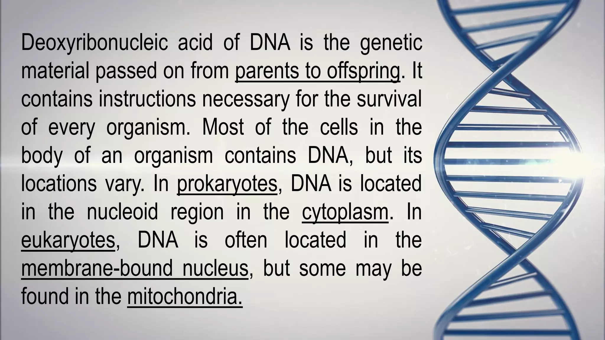Central Dogma of Molecular Biology | PDF