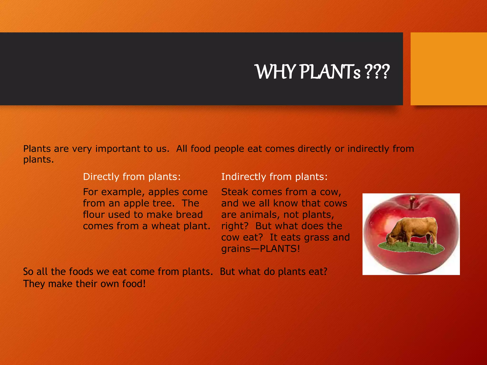 Module 4, ecosystem life energy | PPTX