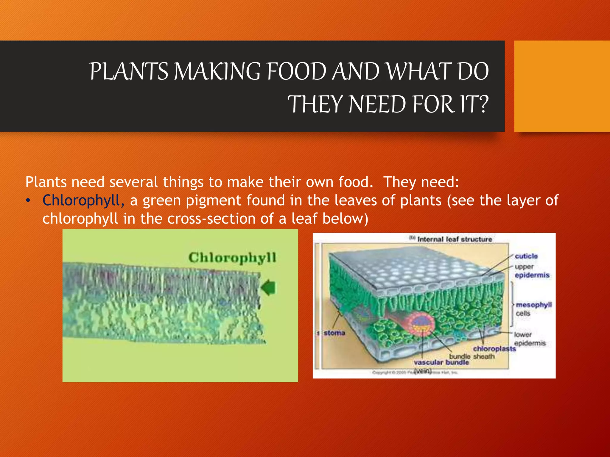 Module 4, ecosystem life energy | PPTX