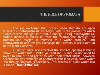 Module 4, ecosystem life energy | PPTX
