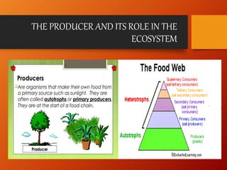 Module 4, ecosystem life energy | PPTX