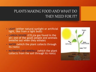 Module 4, ecosystem life energy | PPTX | Gardening | Home & Garden