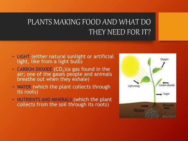 Module 4, ecosystem life energy | PPTX | Gardening | Home & Garden