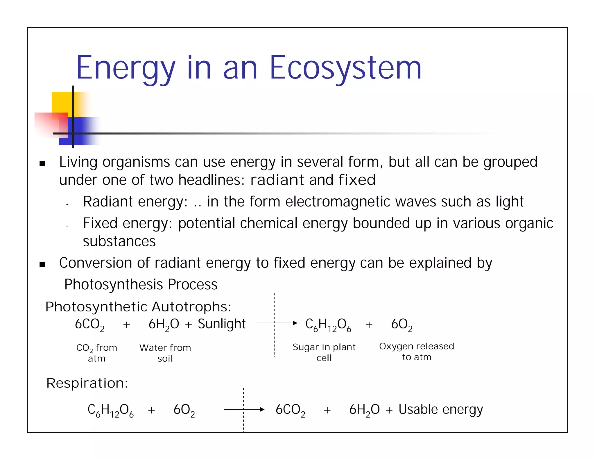 Module 4 energy flow in ecosystems | PDF