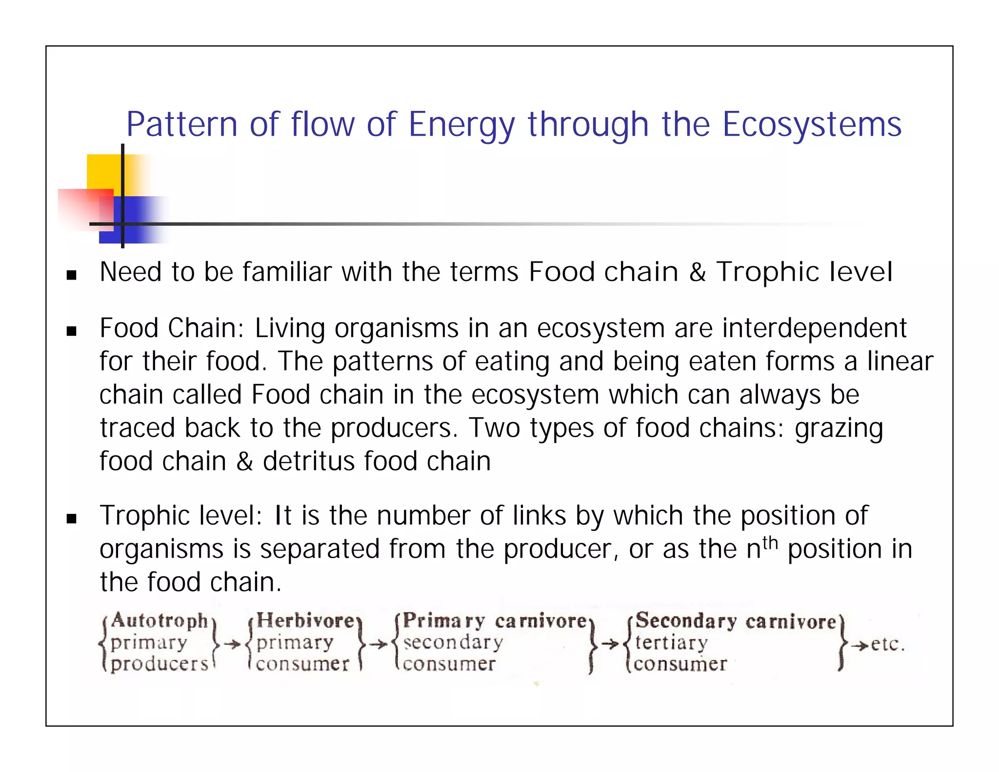Module 4 energy flow in ecosystems | PDF