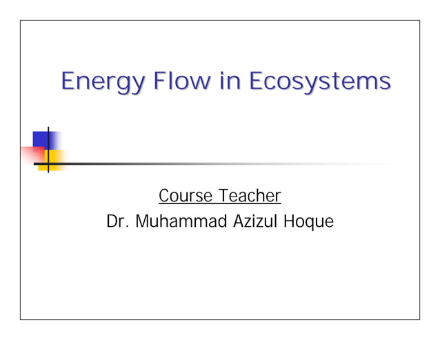 Module 4 energy flow in ecosystems | PDF