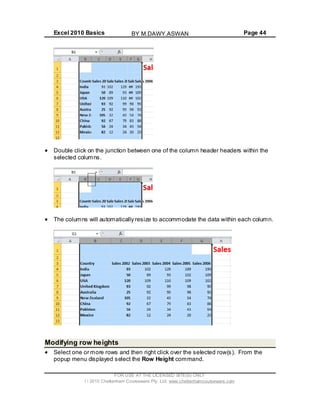 Module 4 excel2010 | PDF