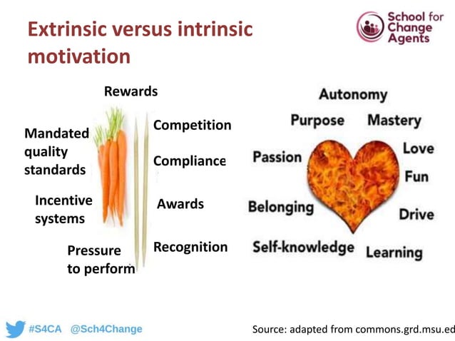 School for Change Agents - Module 4 Slides | PPT