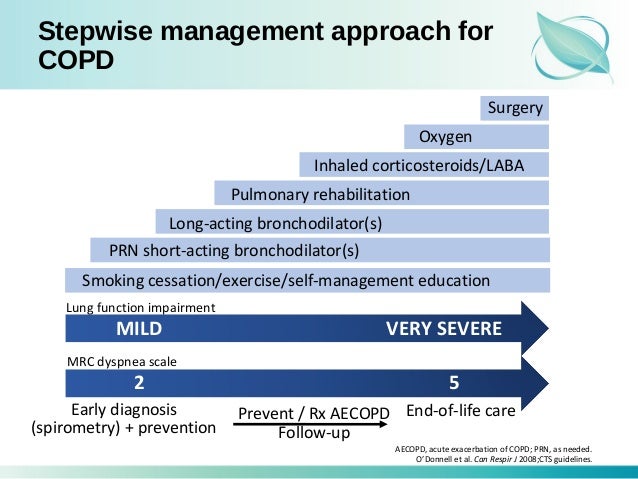 Module 4 lama lab_as