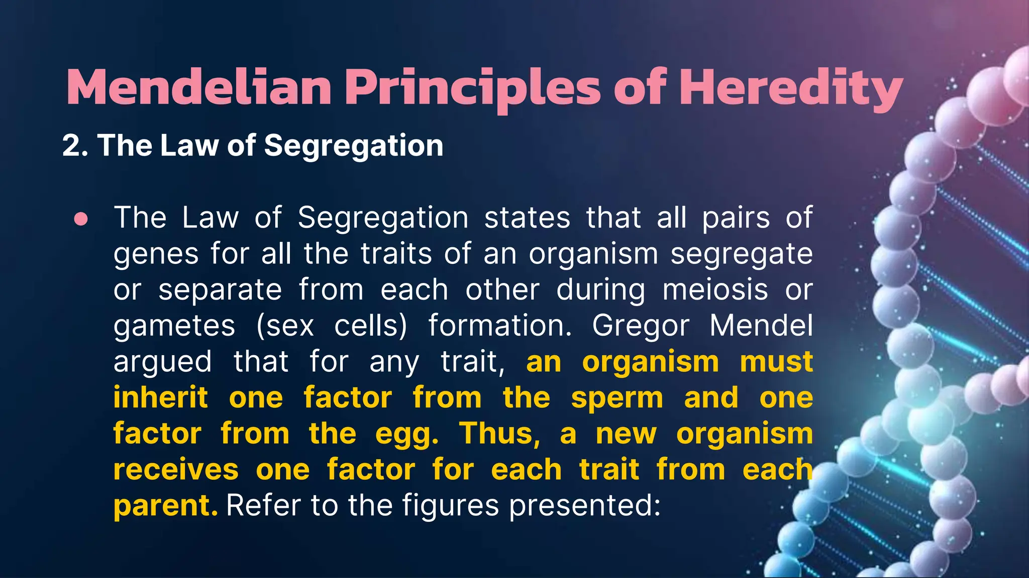 Module 4: Mendelian Genetics and Punnett Square | PPTX