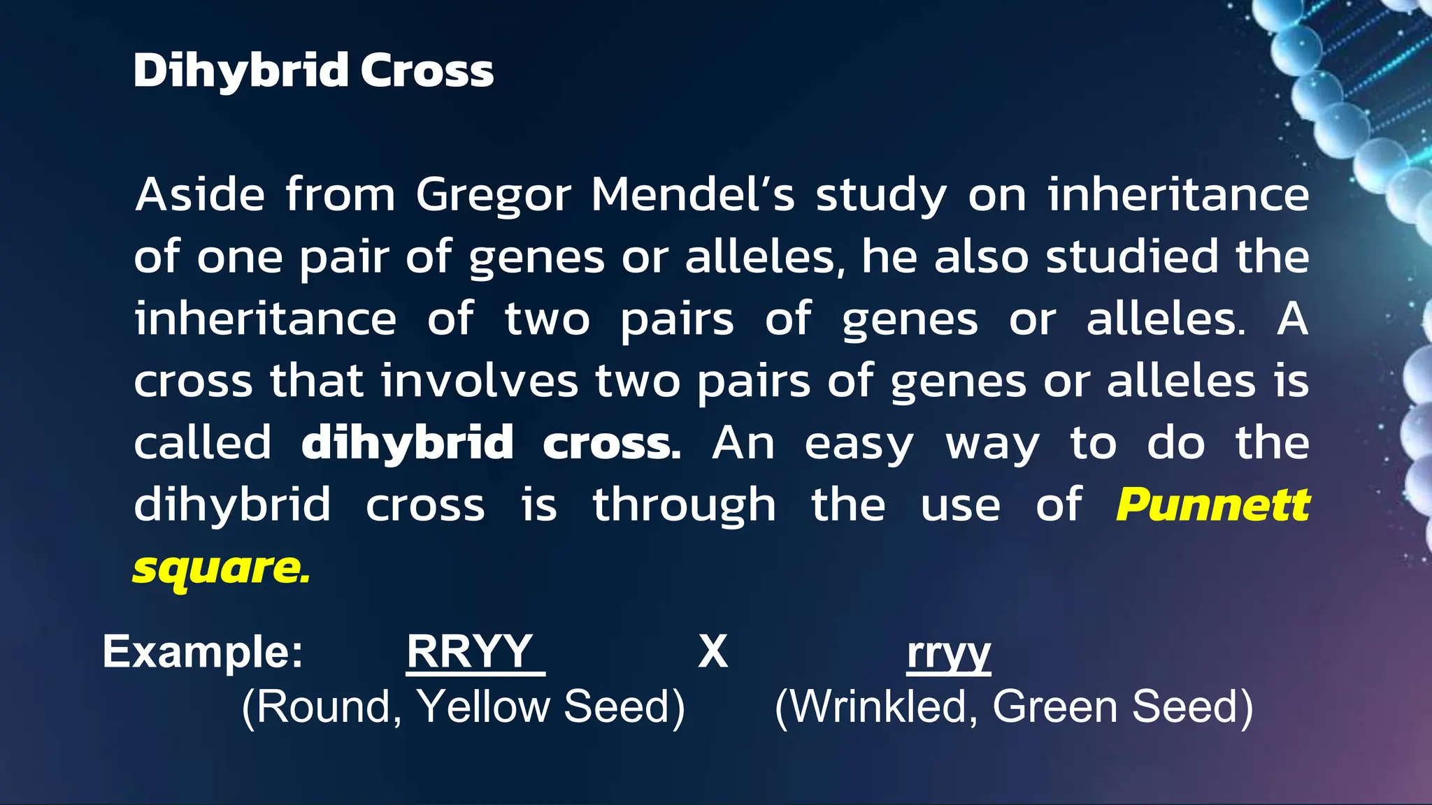 Module 4: Mendelian Genetics and Punnett Square | PPTX