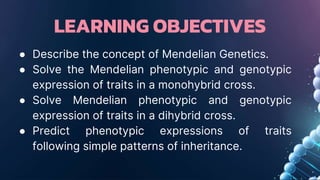 Module 4: Mendelian Genetics and Punnett Square | PPTX