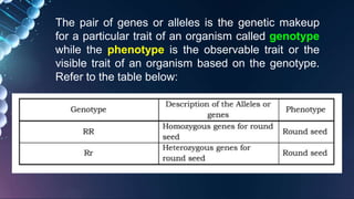 Module 4: Mendelian Genetics and Punnett Square | PPTX