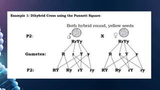 Module 4: Mendelian Genetics and Punnett Square | PPTX