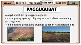 Grade 9, Suliranin sa Sektor ng Agrikultura Module 4 ppt.pptx