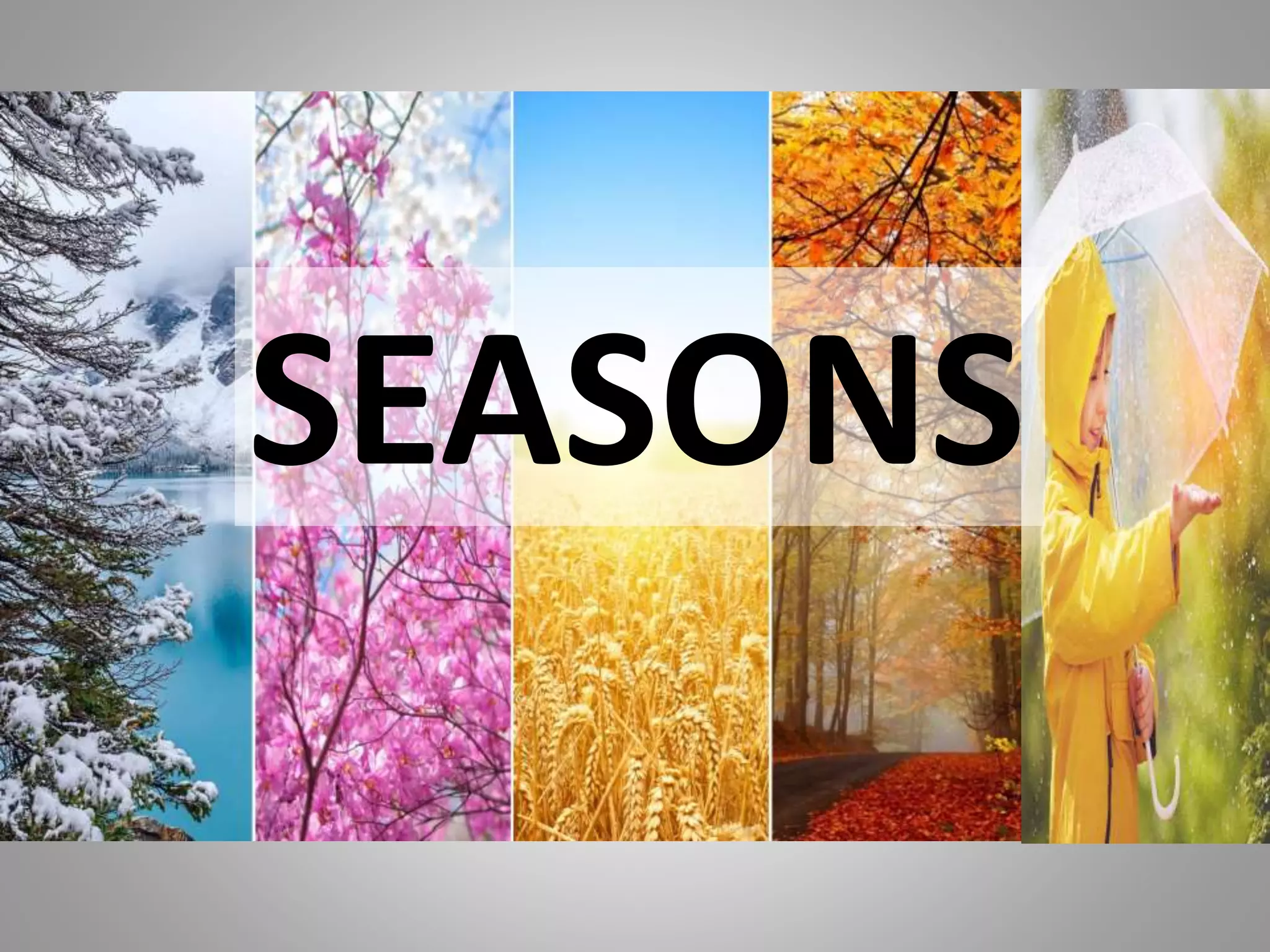 MODULE 4 PPT ( SEASONS).pptx