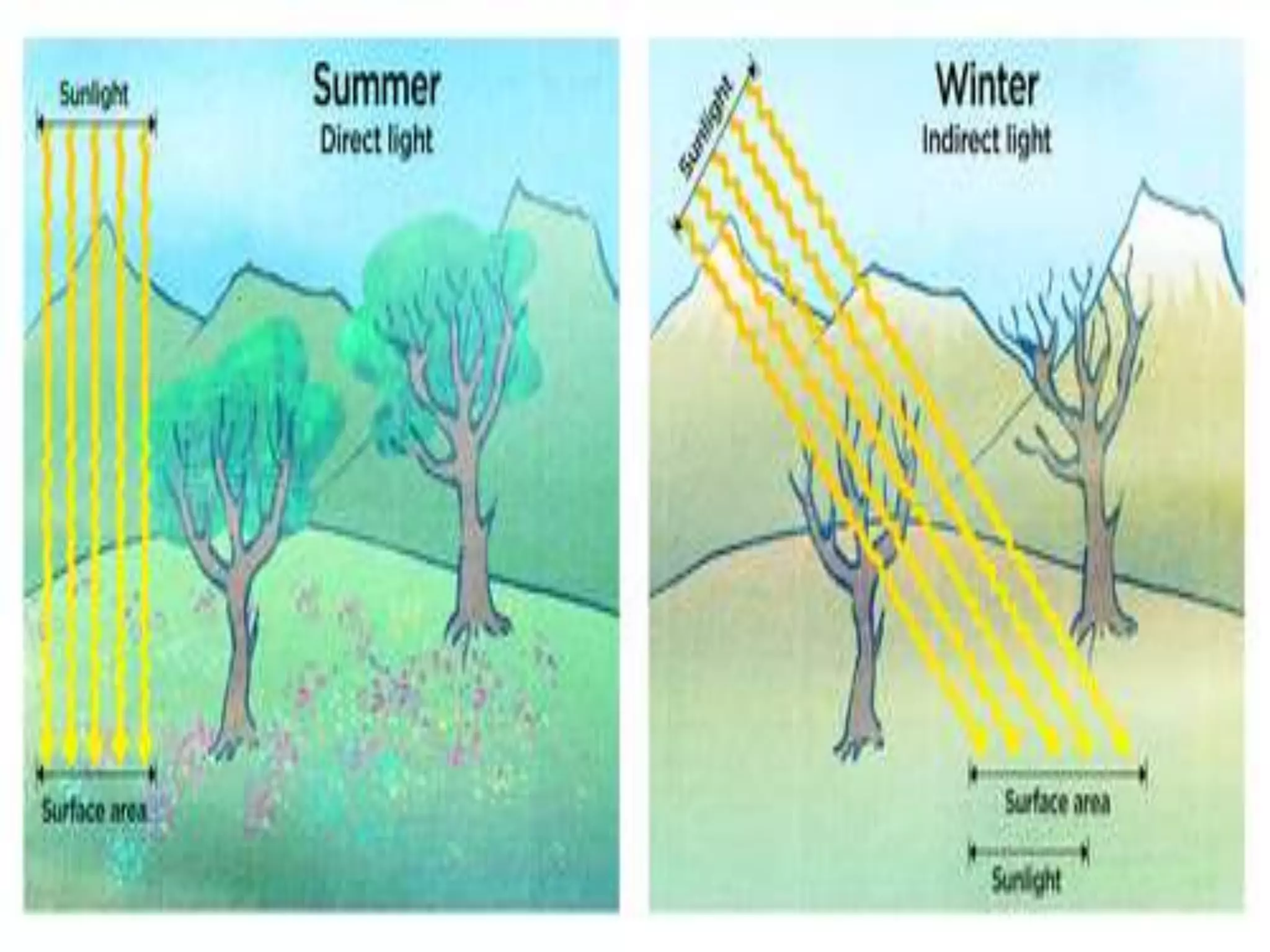 MODULE 4 PPT ( SEASONS).pptx