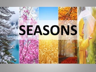 MODULE 4 PPT ( SEASONS).pptx
