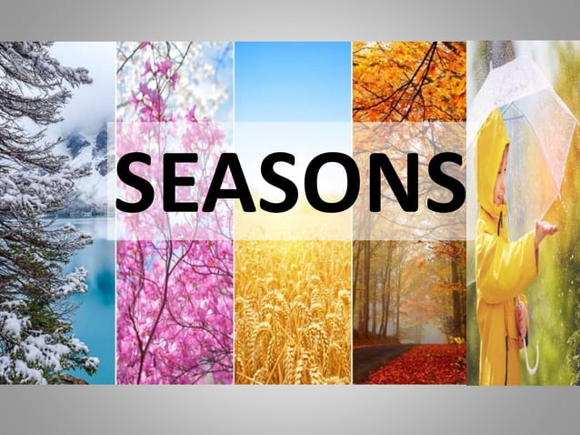 MODULE 4 PPT ( SEASONS).pptx