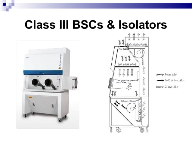 Module 4 primary contaiment and other hazard | PPT | Lung and ...