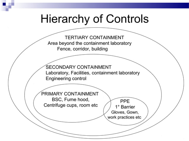 Module 4 primary contaiment and other hazard | PPT | Lung and ...