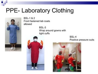 Module 4 primary contaiment and other hazard | PPT
